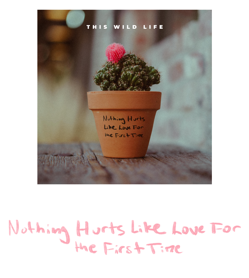 This Wild Life | Official Site